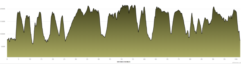 Toughest Trail Races in the Northeast: 100M Division - Trails Collective