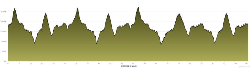 Toughest Trail Races in the Northeast: 100M Division - Trails Collective
