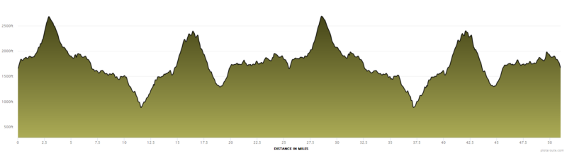 Toughest Trail Races in the Northeast: 50M Division - Trails Collective