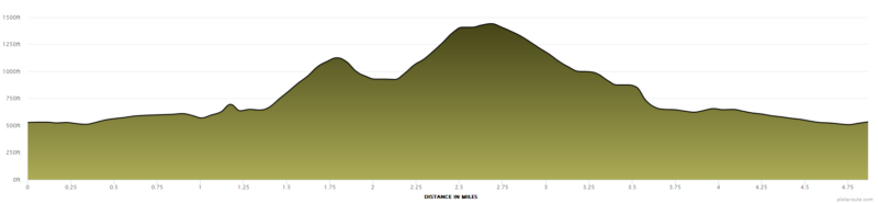 Toughest Trail Races in the Northeast: 10k Division - Trails Collective